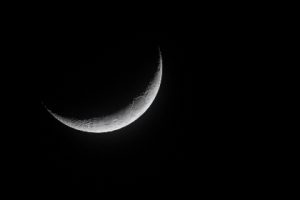 8x8x华人海外_8x8x8x水蜜桃 - 8xx live 8x8x.com_8x8x华人影视app